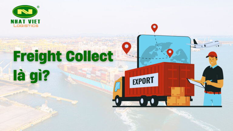 Freight collect là gì? Khái niệm và các ứng dụng trong vận chuyển quốc tế